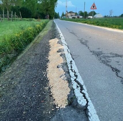 In corso il lavori di sistemazione di via Della Rosa | Temponews